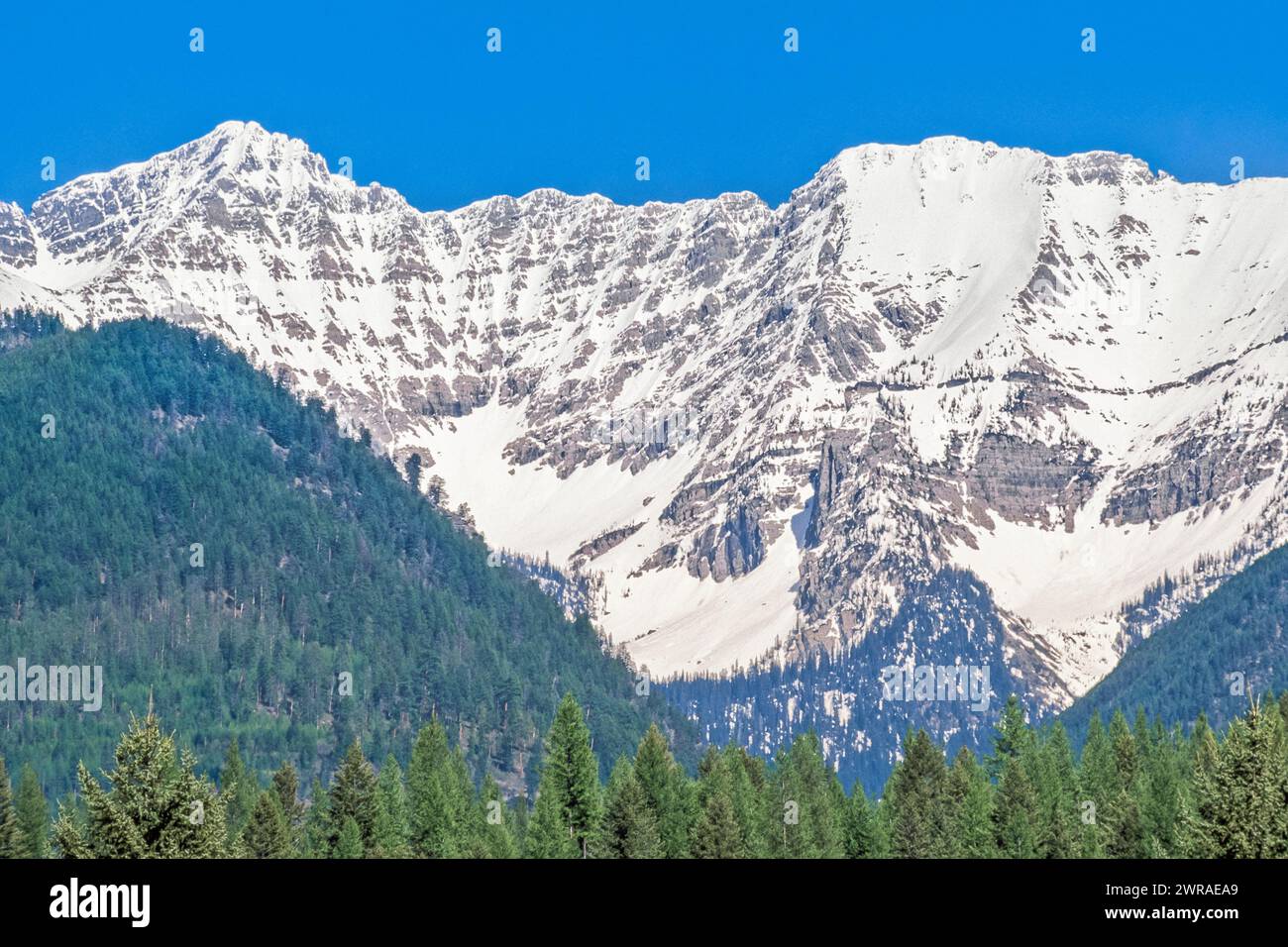 swan peak in the swan range near condon, montana Stock Photo - Alamy