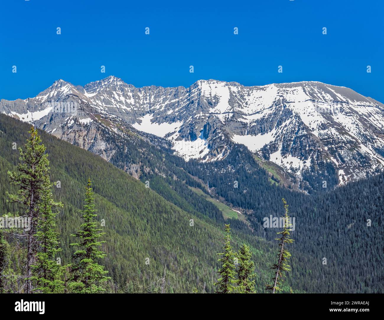 swan peak in the swan range near condon, montana Stock Photo - Alamy