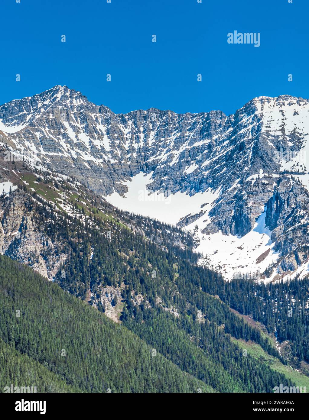 swan peak in the swan range near condon, montana Stock Photo - Alamy