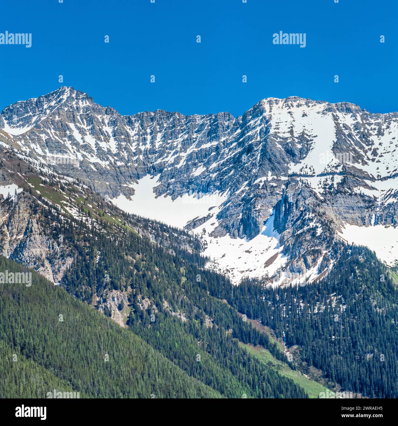 swan peak in the swan range near condon, montana Stock Photo - Alamy