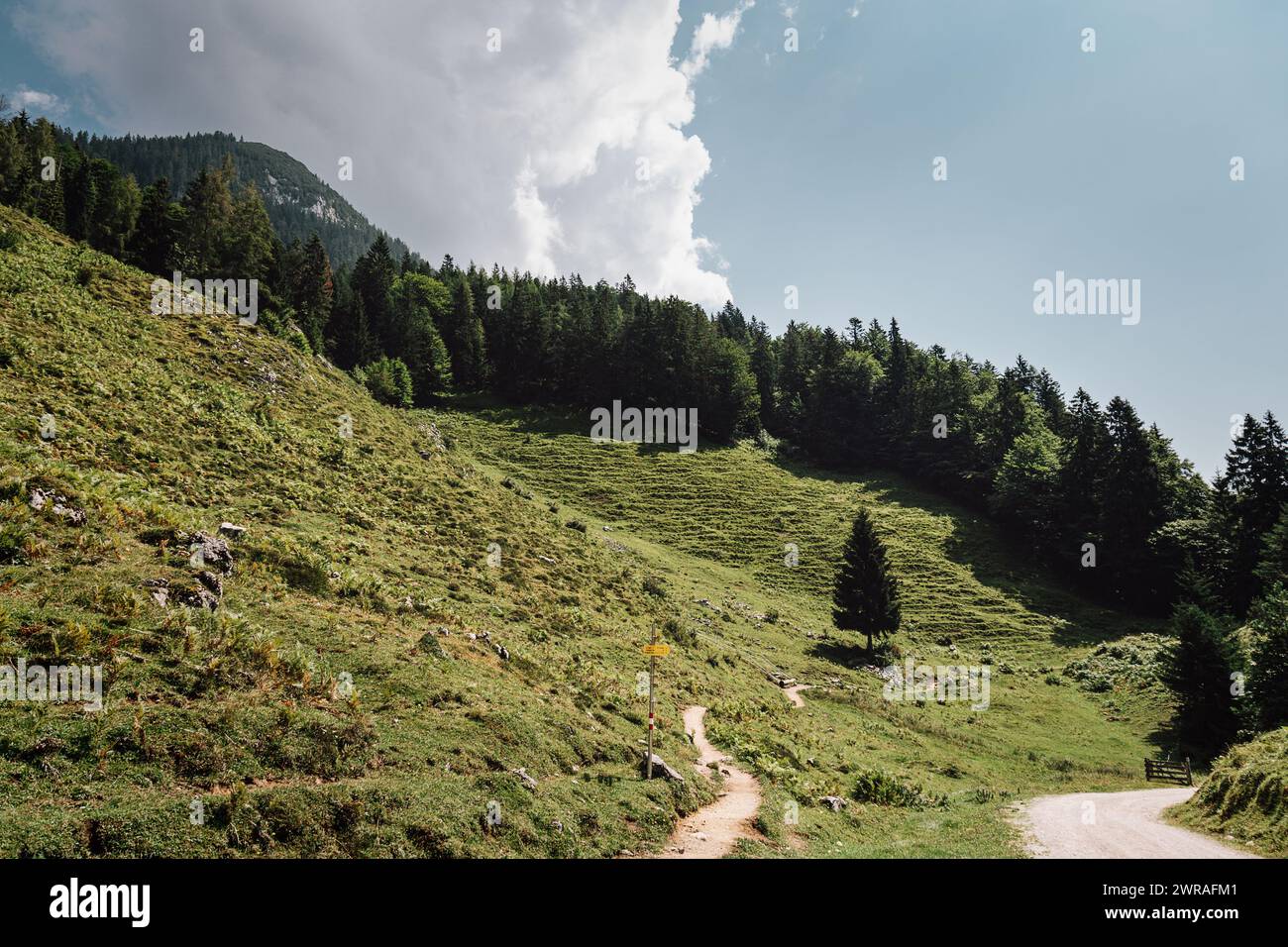 The green rolling hills of the Alps Stock Photo - Alamy