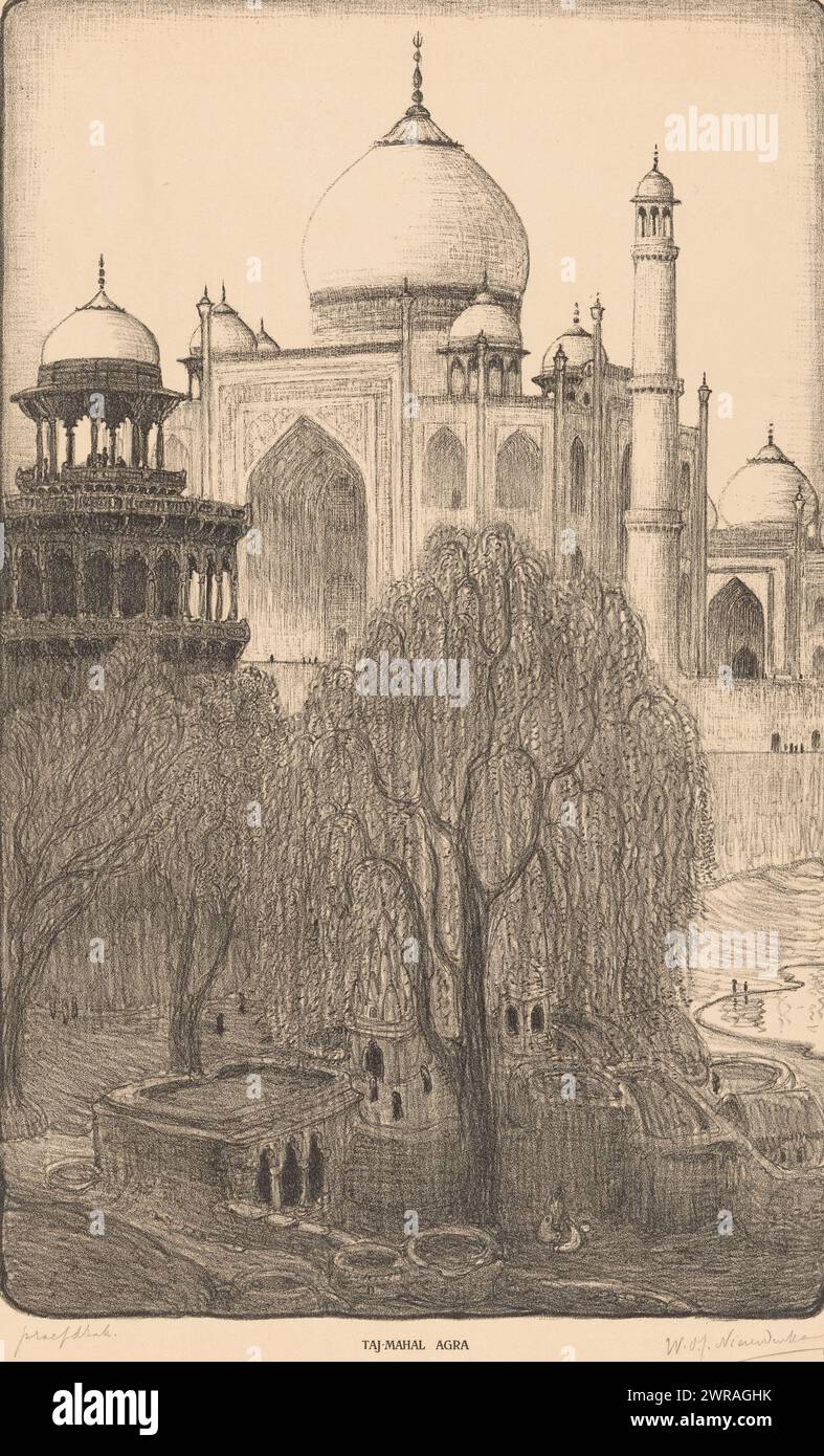 Taj mahal trees in foreground hi-res stock photography and images - Alamy