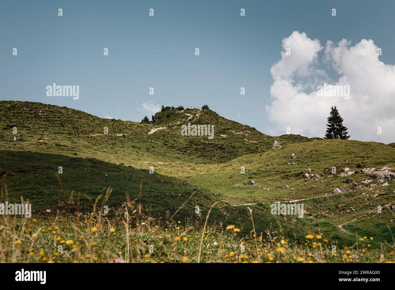 The green rolling hills of the Alps Stock Photo - Alamy