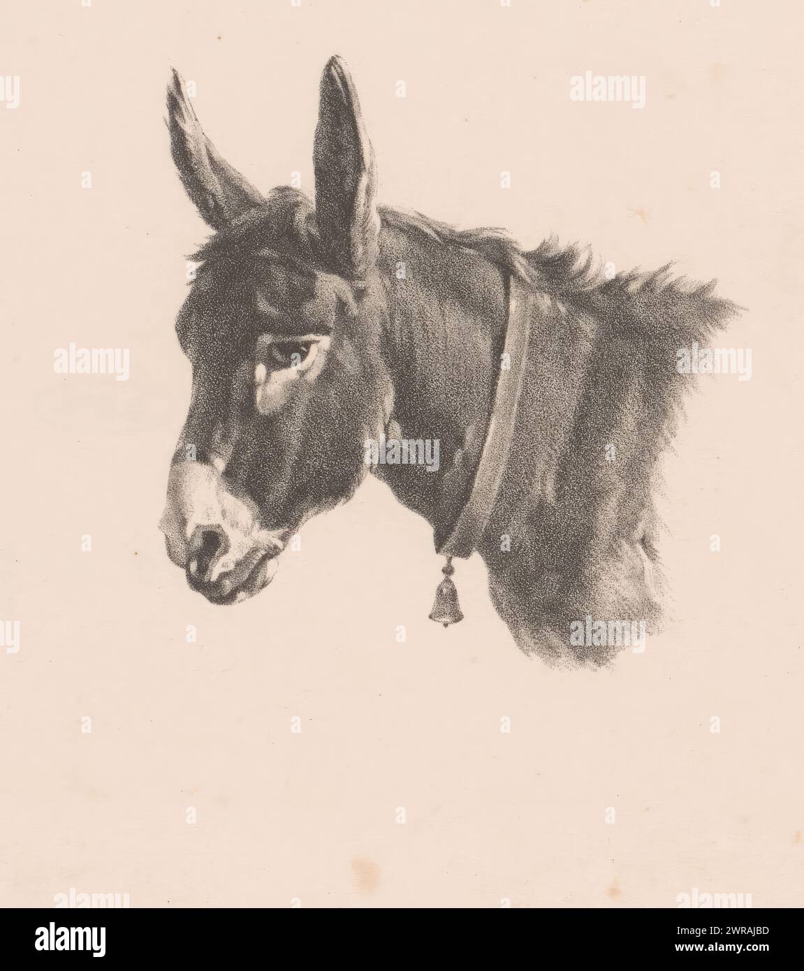 Donkey with a bell around his neck, print maker: Jean Zacherie Mazel ...