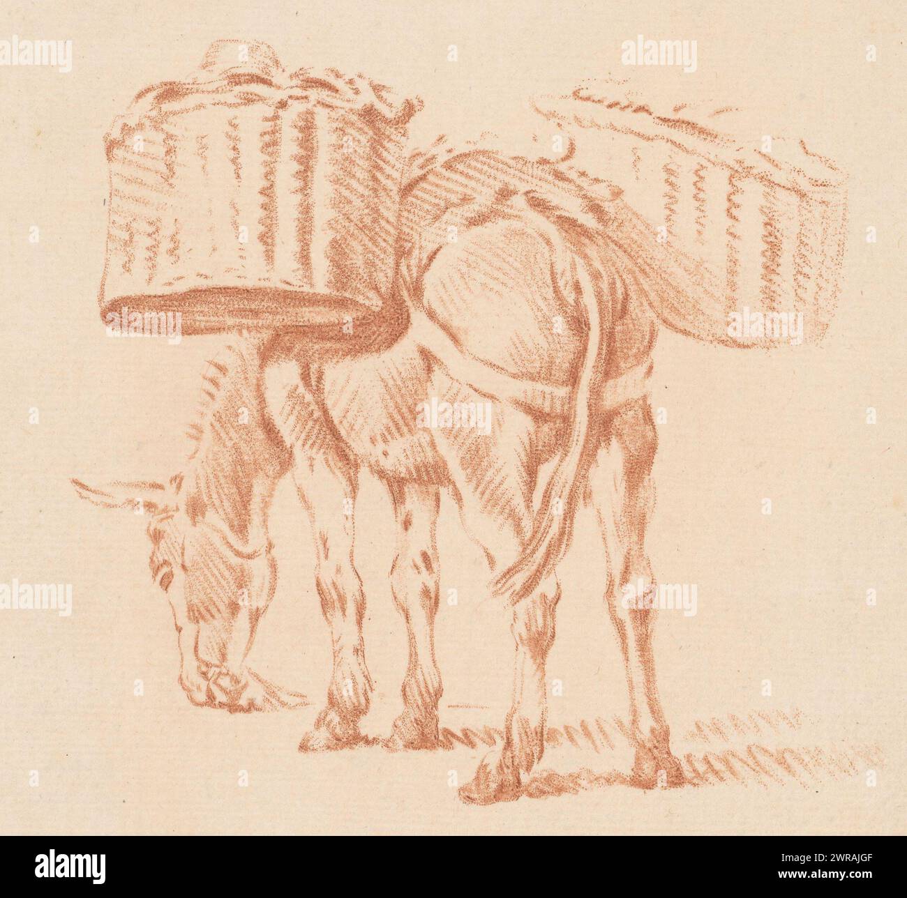 Loaded donkey, A donkey with two baskets on its back. The print is ...
