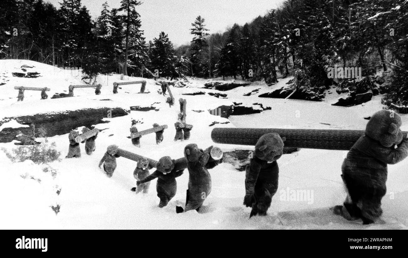 HUNDREDS OF BEAVERS, 2022. © SRH / Courtesy Everett Collection Stock ...