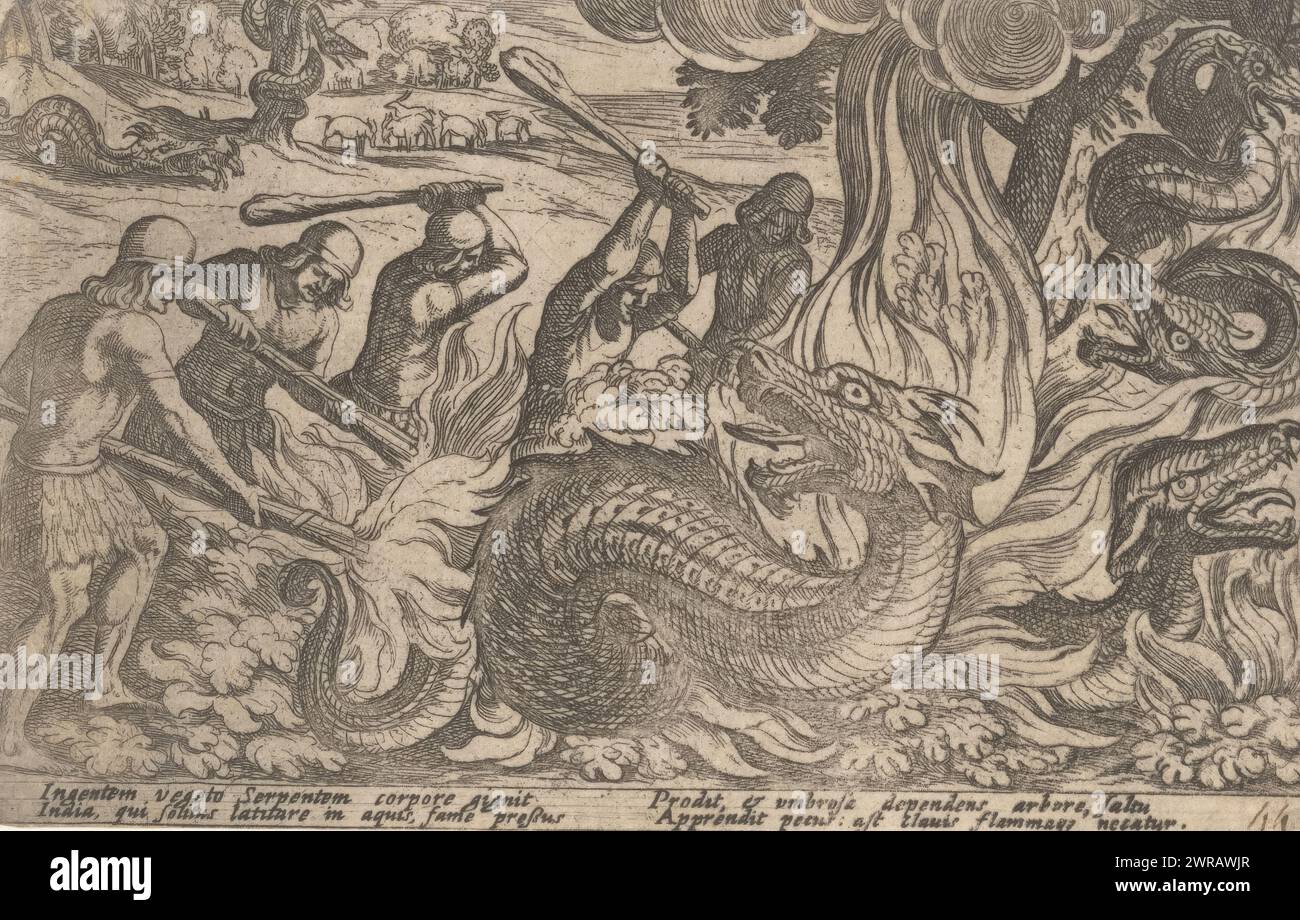 Two giant snakes attack hi-res stock photography and images - Alamy