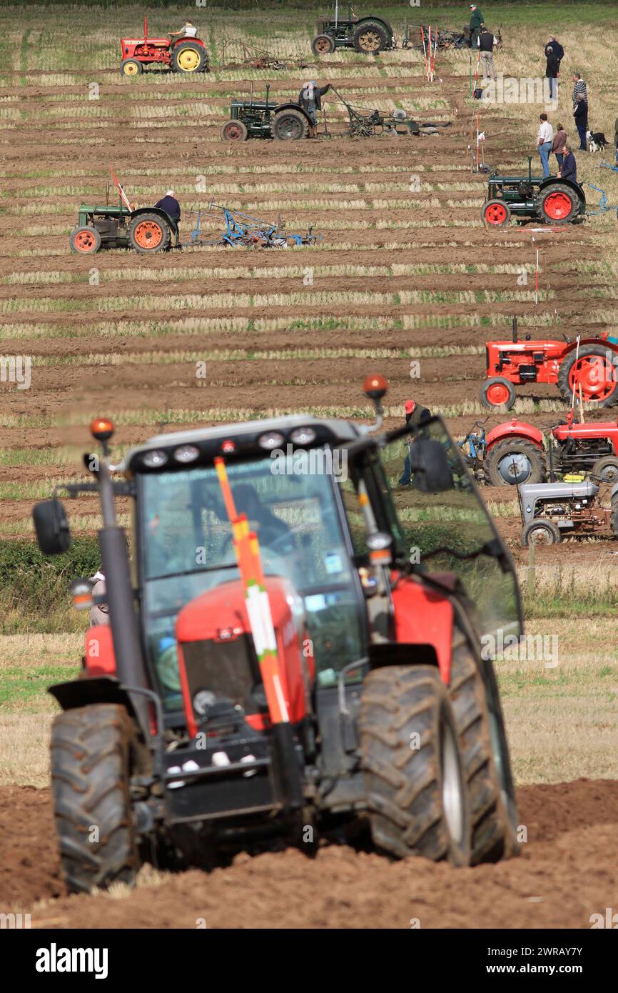 Masey ferguson tractor hi-res stock photography and images - Alamy