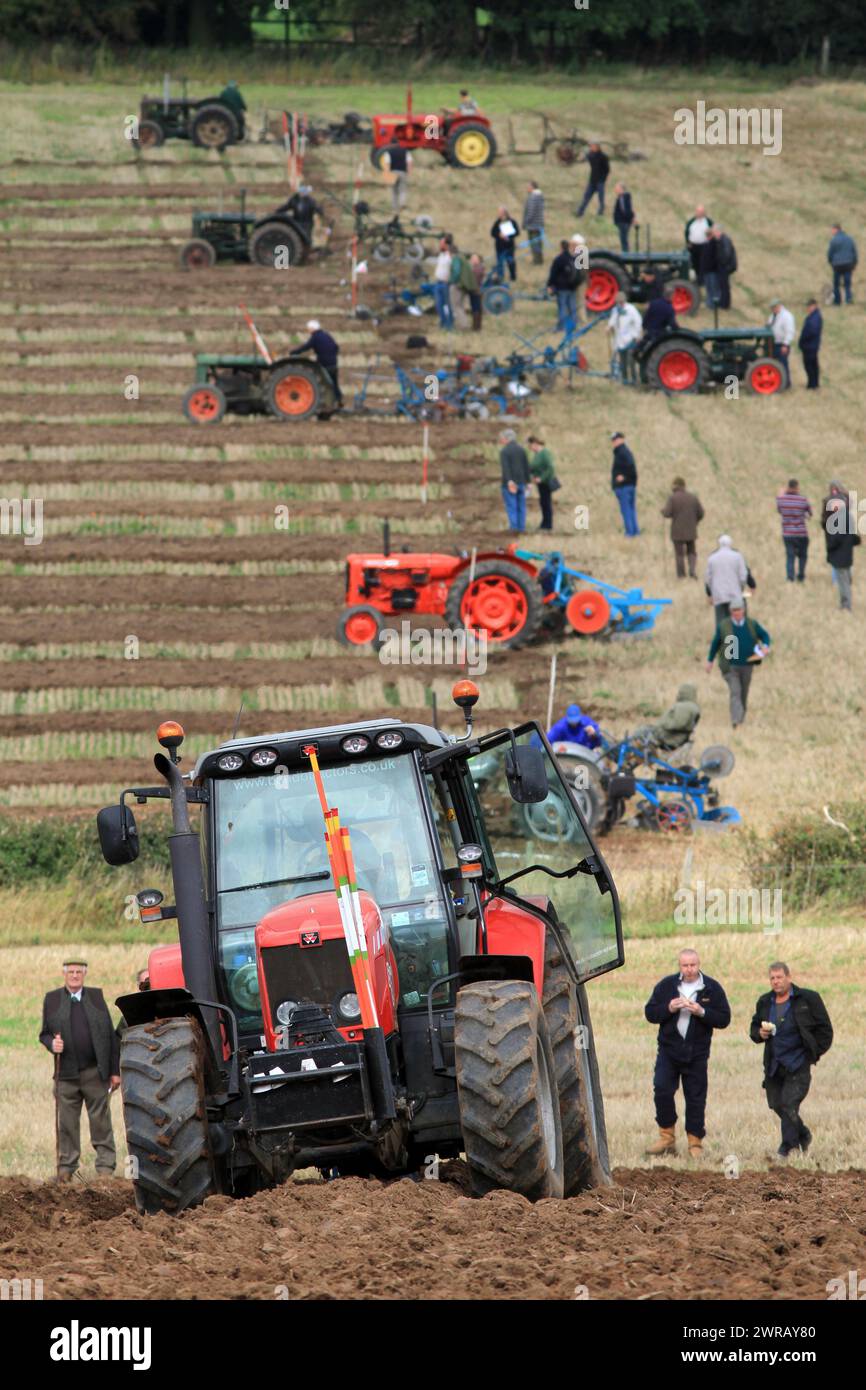 Masey ferguson tractor hi-res stock photography and images - Alamy