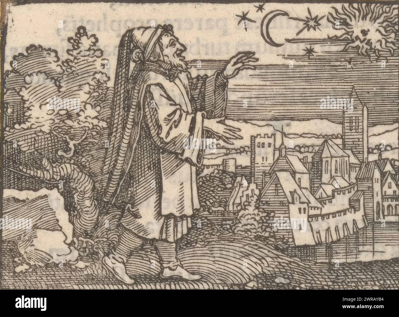 Calamitates hi-res stock photography and images - Alamy