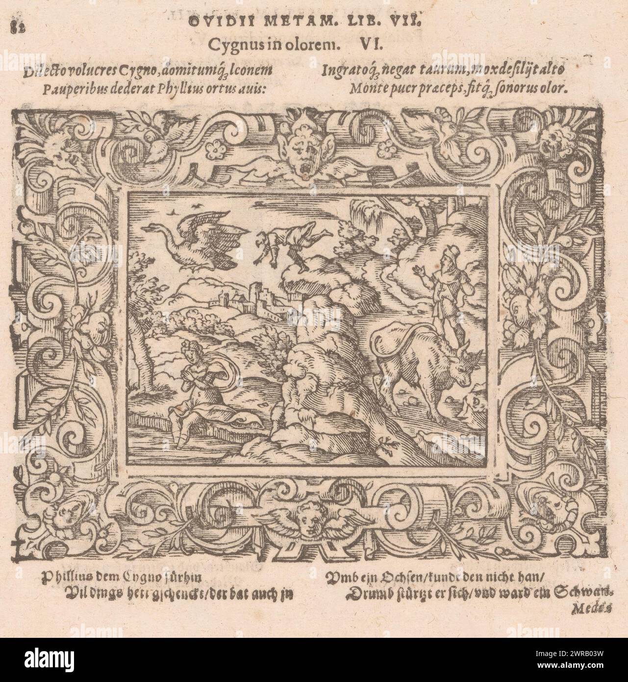 Phylius refuses hi-res stock photography and images - Alamy