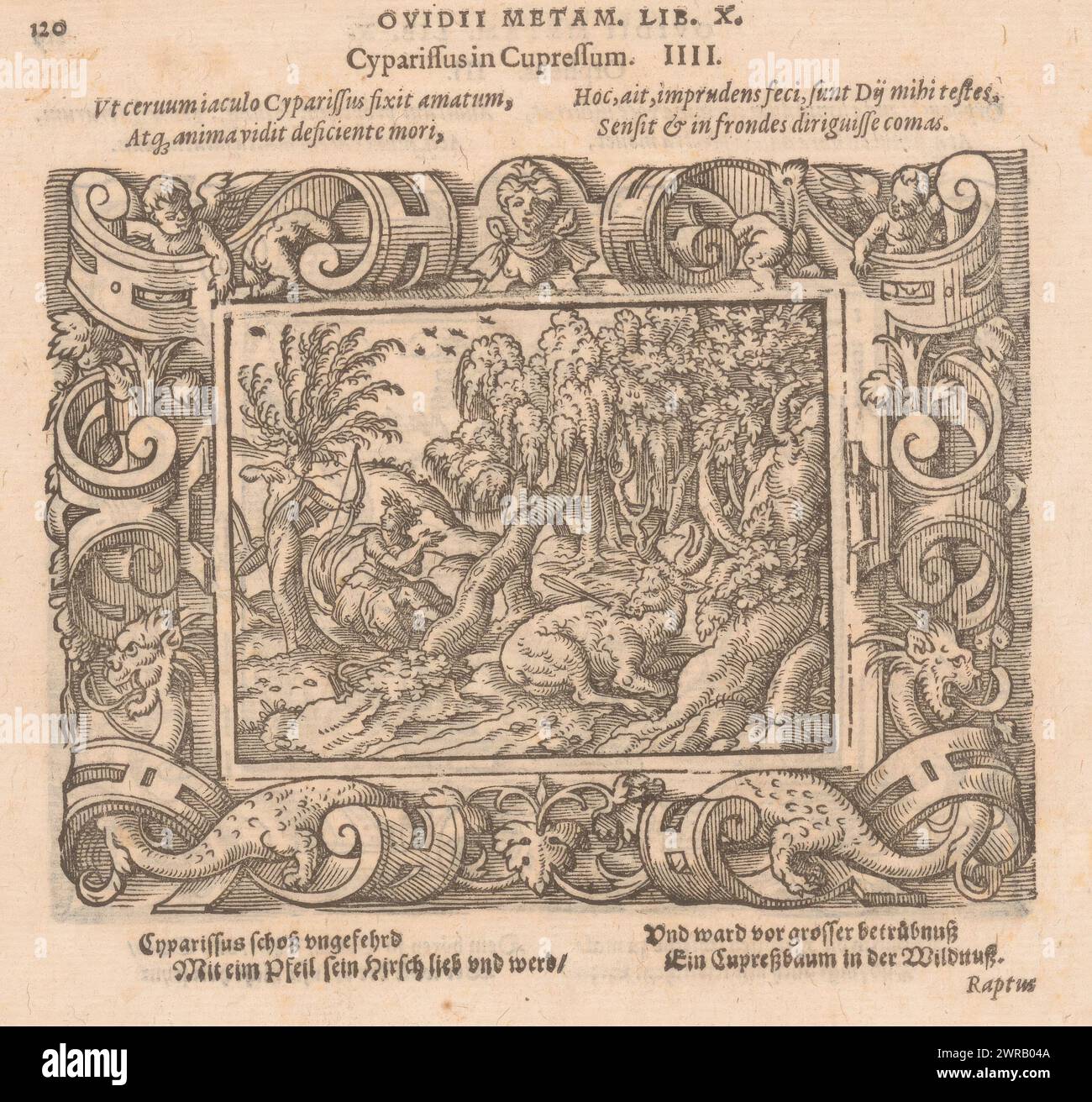 Cyparissus accidentally killed hi-res stock photography and images - Alamy