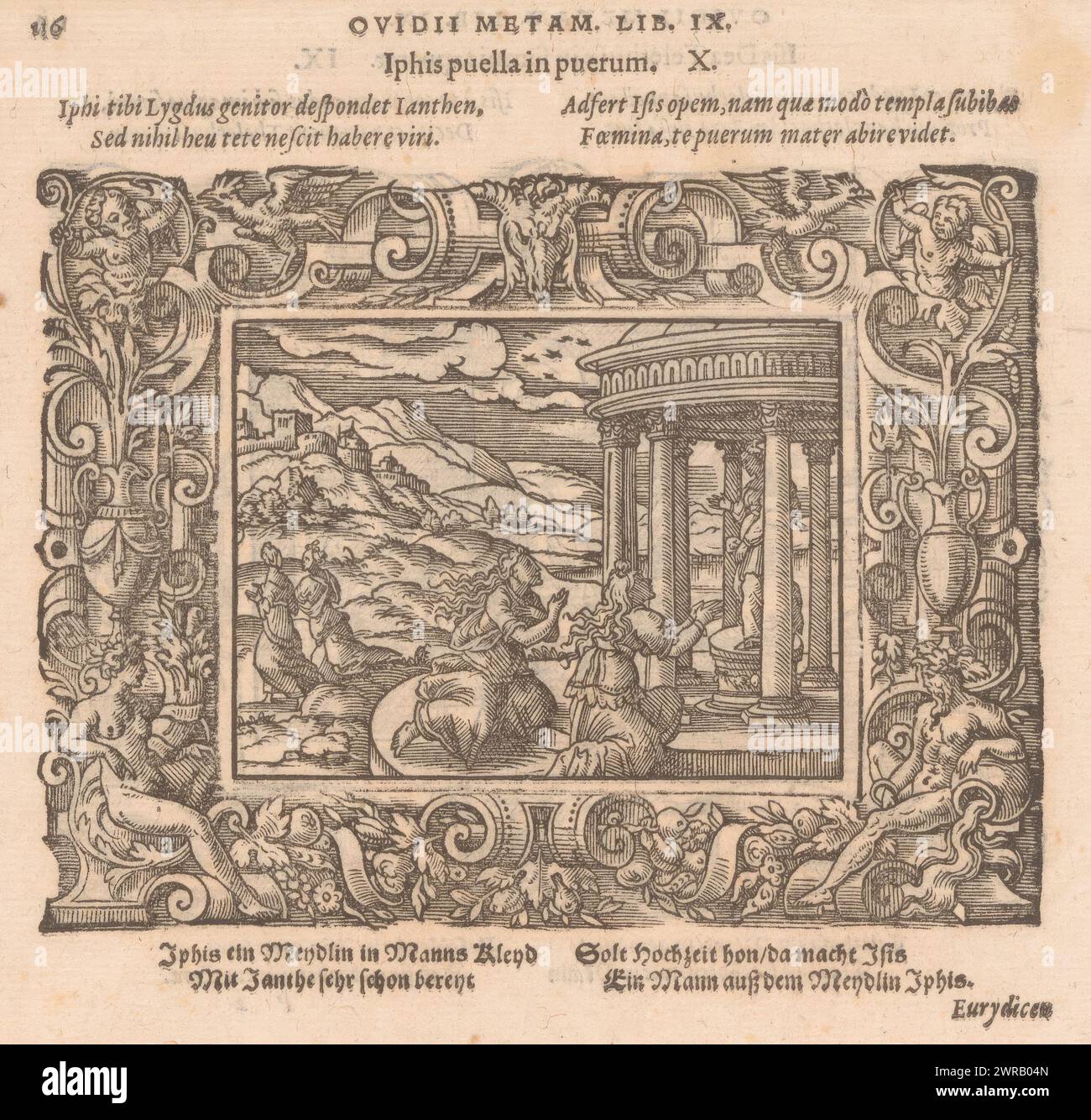 Iphis puella hi-res stock photography and images - Alamy