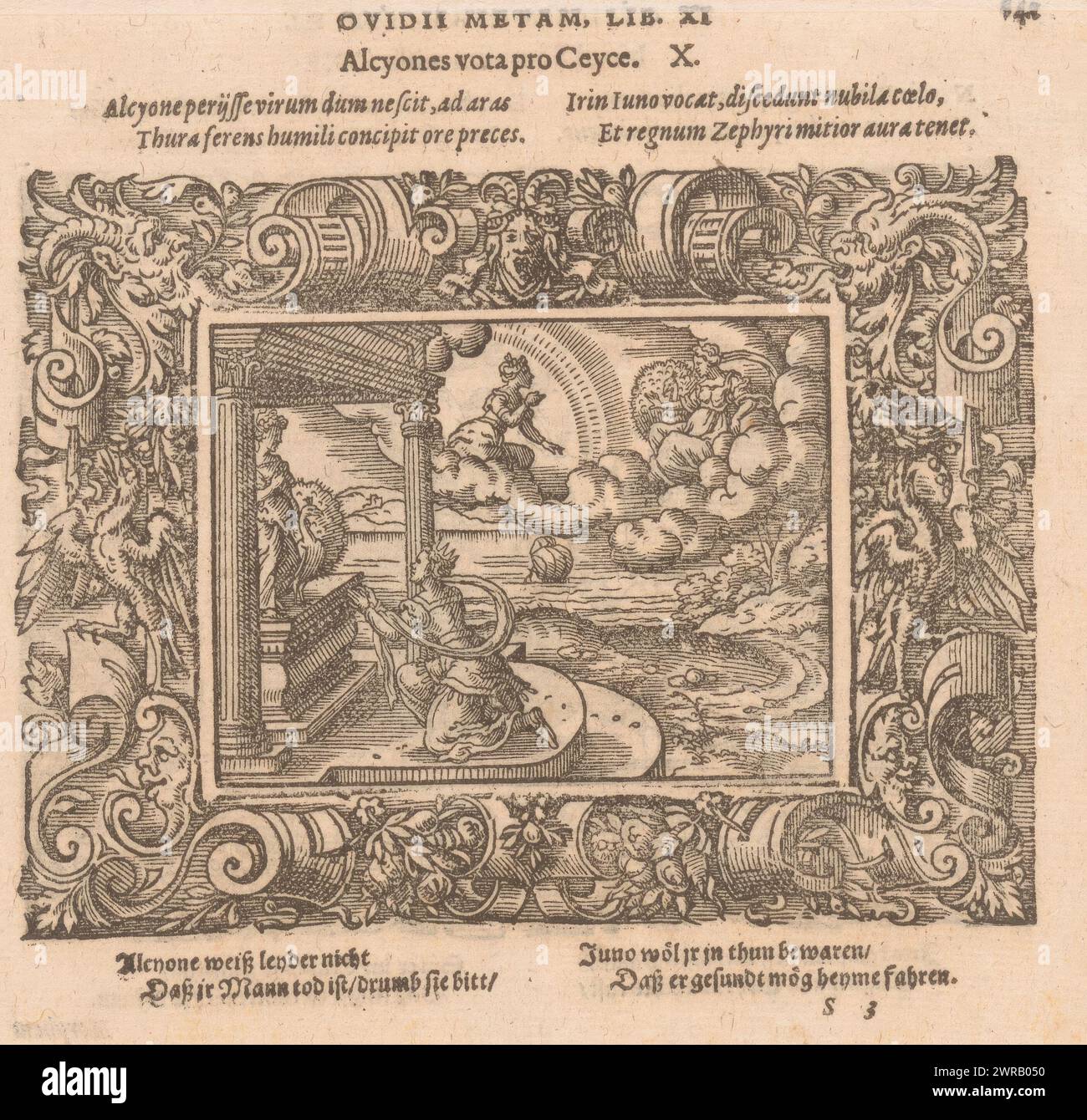 Alcyones hi-res stock photography and images - Alamy