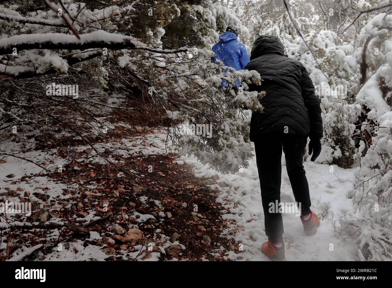 Embrace the tranquility of a winter hike as two individuals explore a ...
