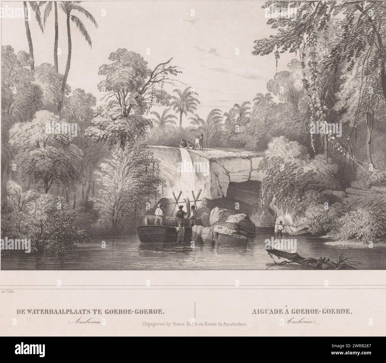 Goeroe goeroe amboina hi-res stock photography and images - Alamy