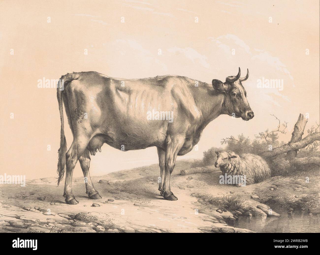 Width 622 mm hi-res stock photography and images - Alamy