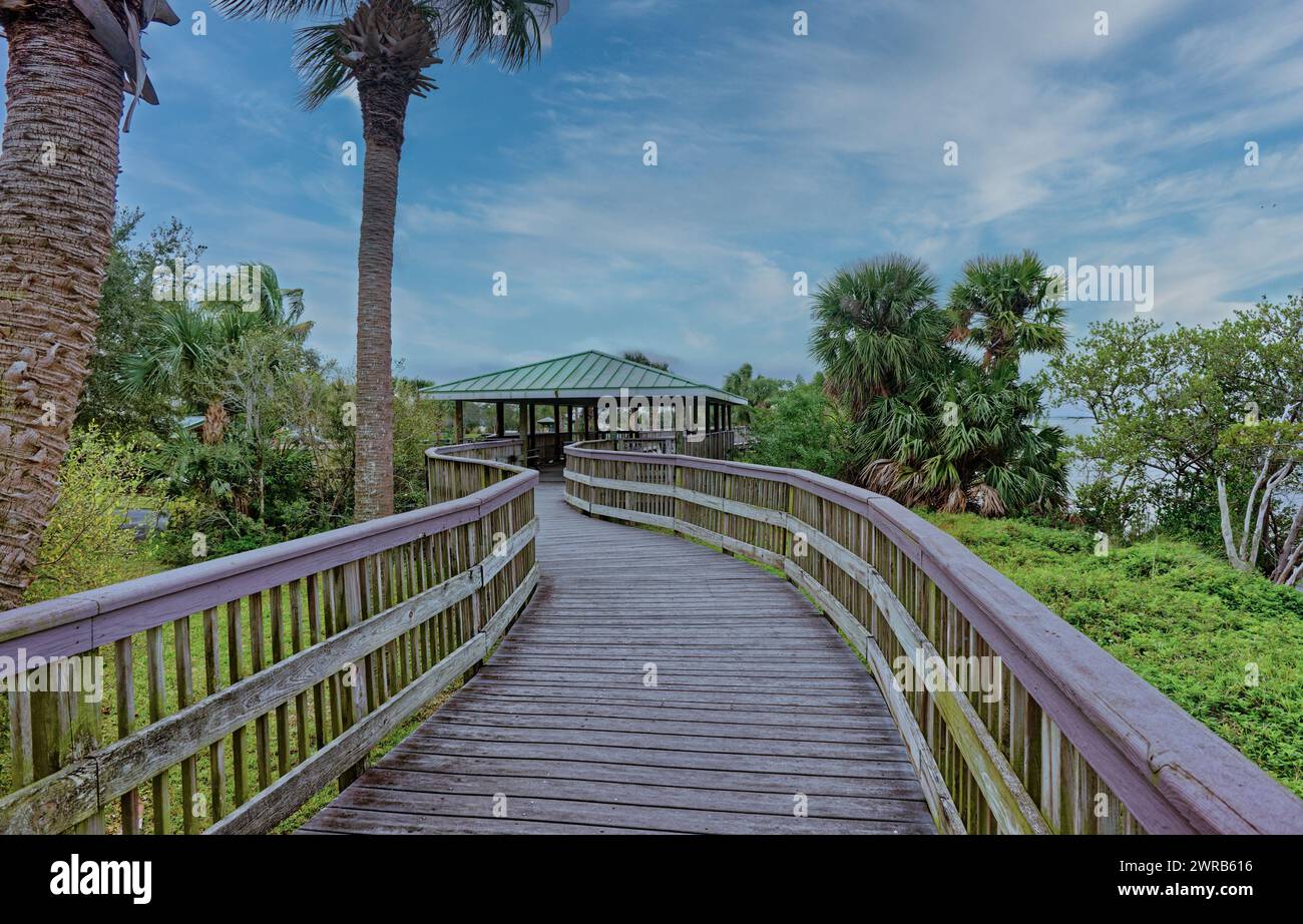 Treated lumber hi-res stock photography and images - Alamy