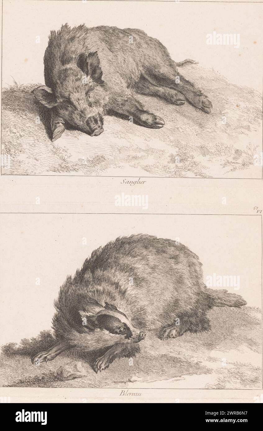 Blereau hi-res stock photography and images - Alamy