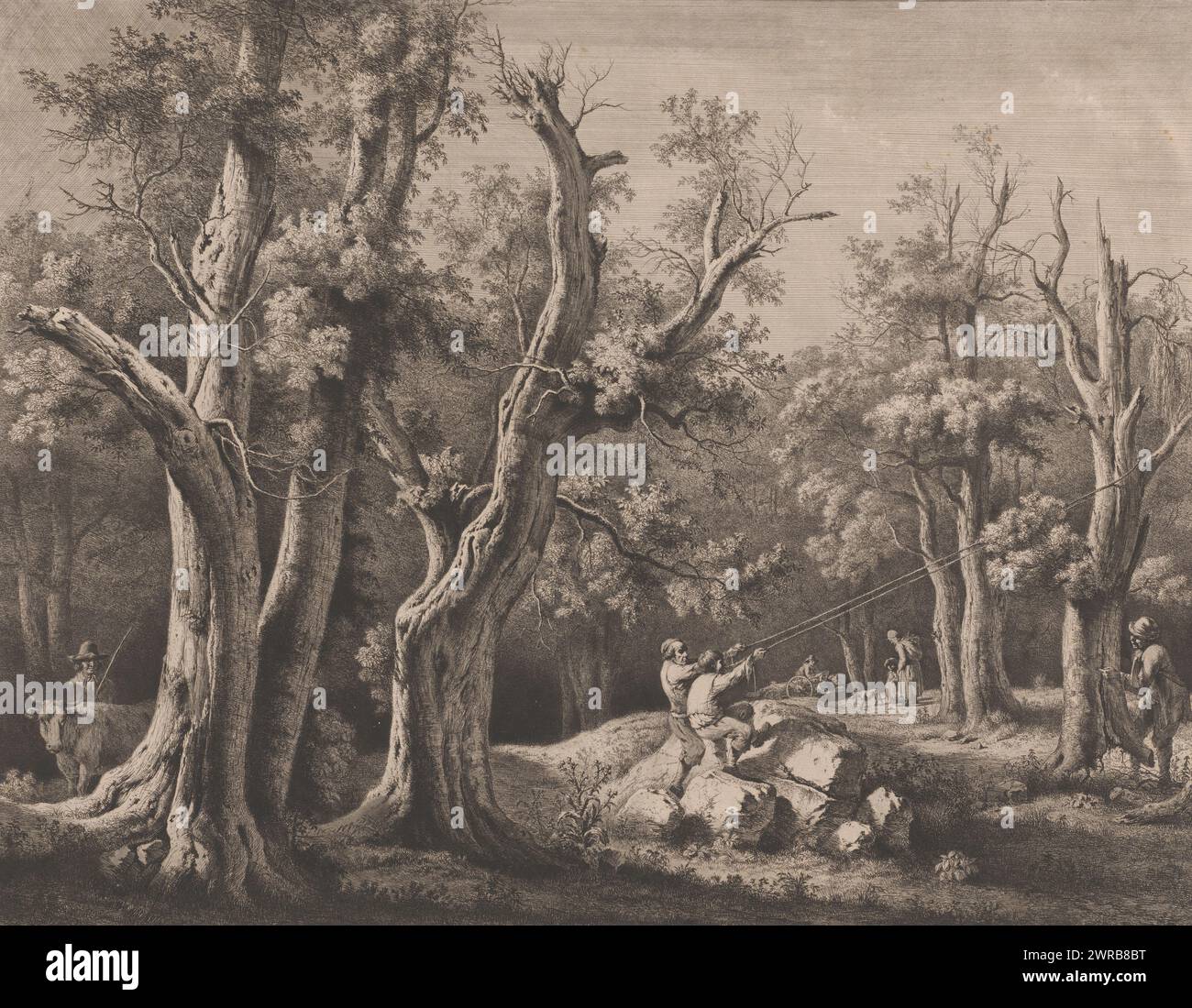 Width 617 mm hi-res stock photography and images - Alamy