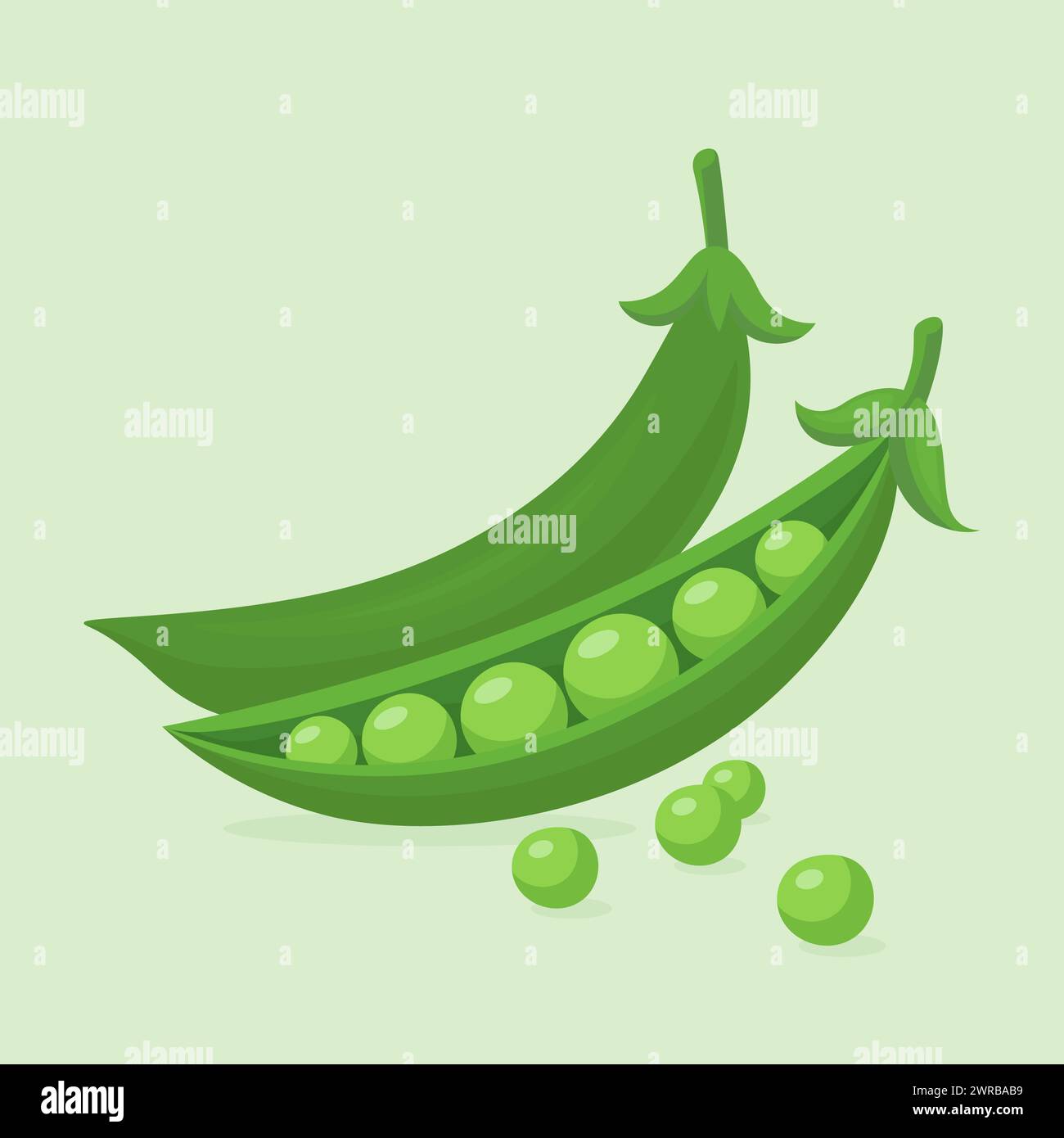 Vector Green Pea Pod. Green Peas Design Template, Cartoon Flat Peas ...