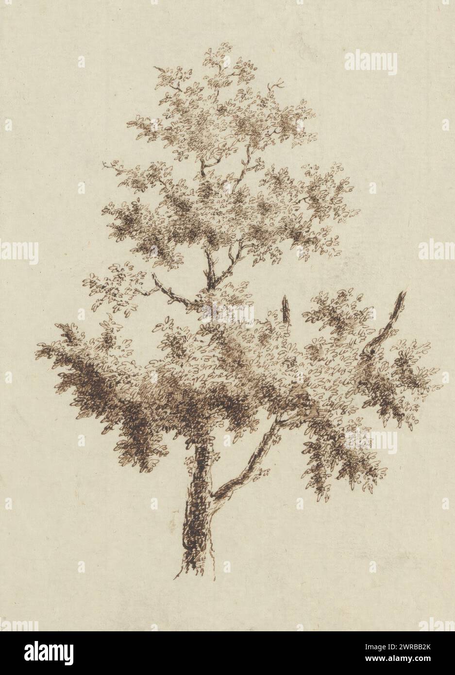 1800 181 hi-res stock photography and images - Alamy