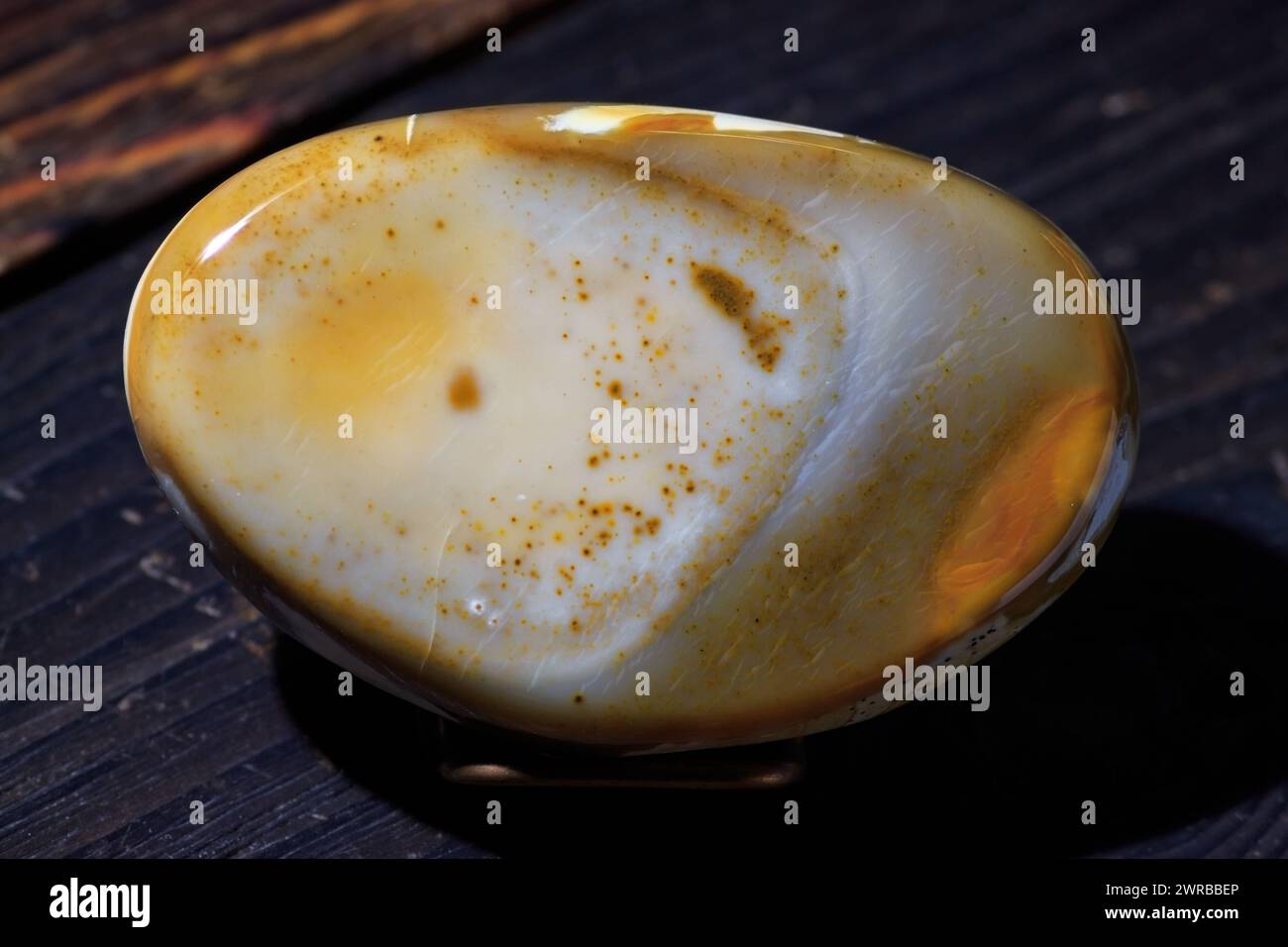 Polished specimen of landscape chalcedony processed into cabachon shape ...