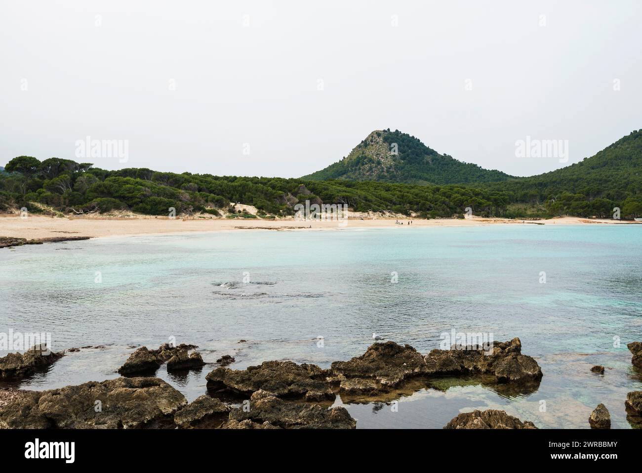 Cala Agulla, Cala Ratjada, Majorca, Balearic Islands, Spain Stock Photo - Alamy