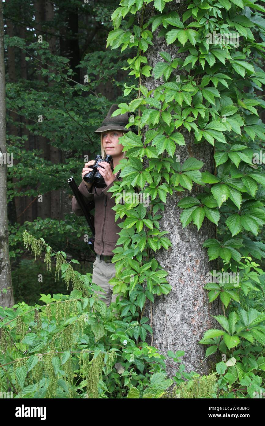 Huntress with rifle and binoculars behind a spruce (Picea) Allgaeu ...