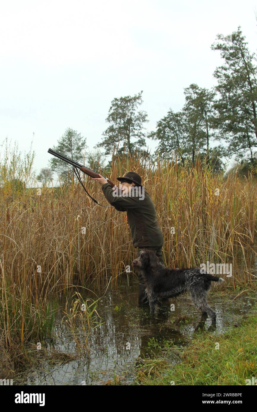 Female hunter aiming at flying mallard (Anas platyrhynchos) on the bank ...