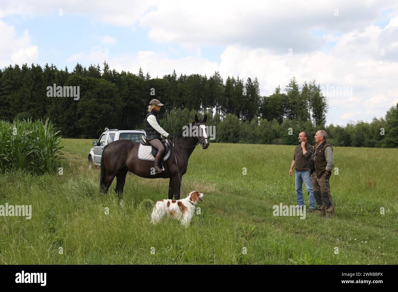Hunter in conversation with rider, Allgaeu, Bavaria, Germany Stock ...