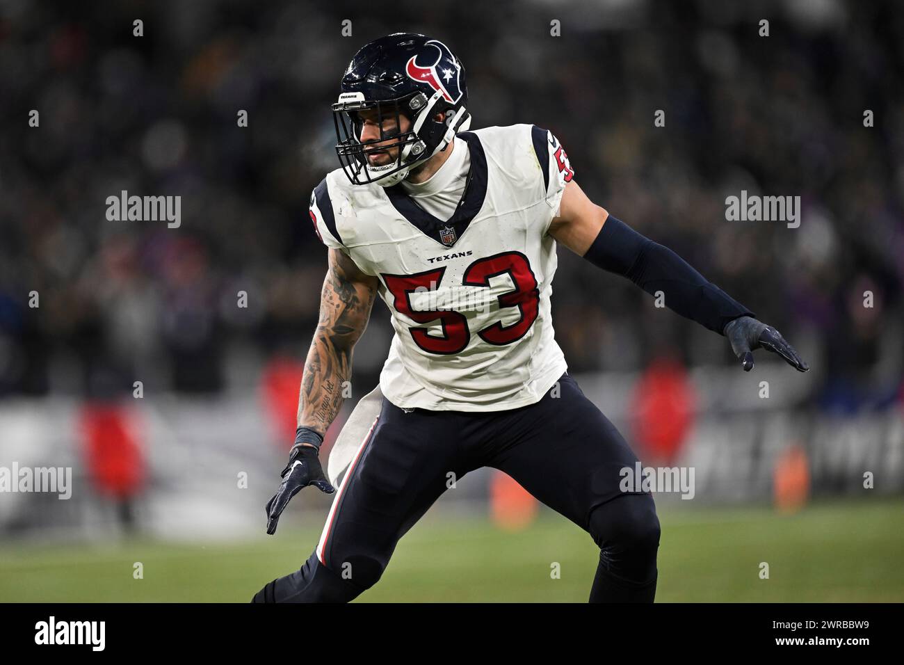 FILE - Houston Texans linebacker Blake Cashman in action during the ...