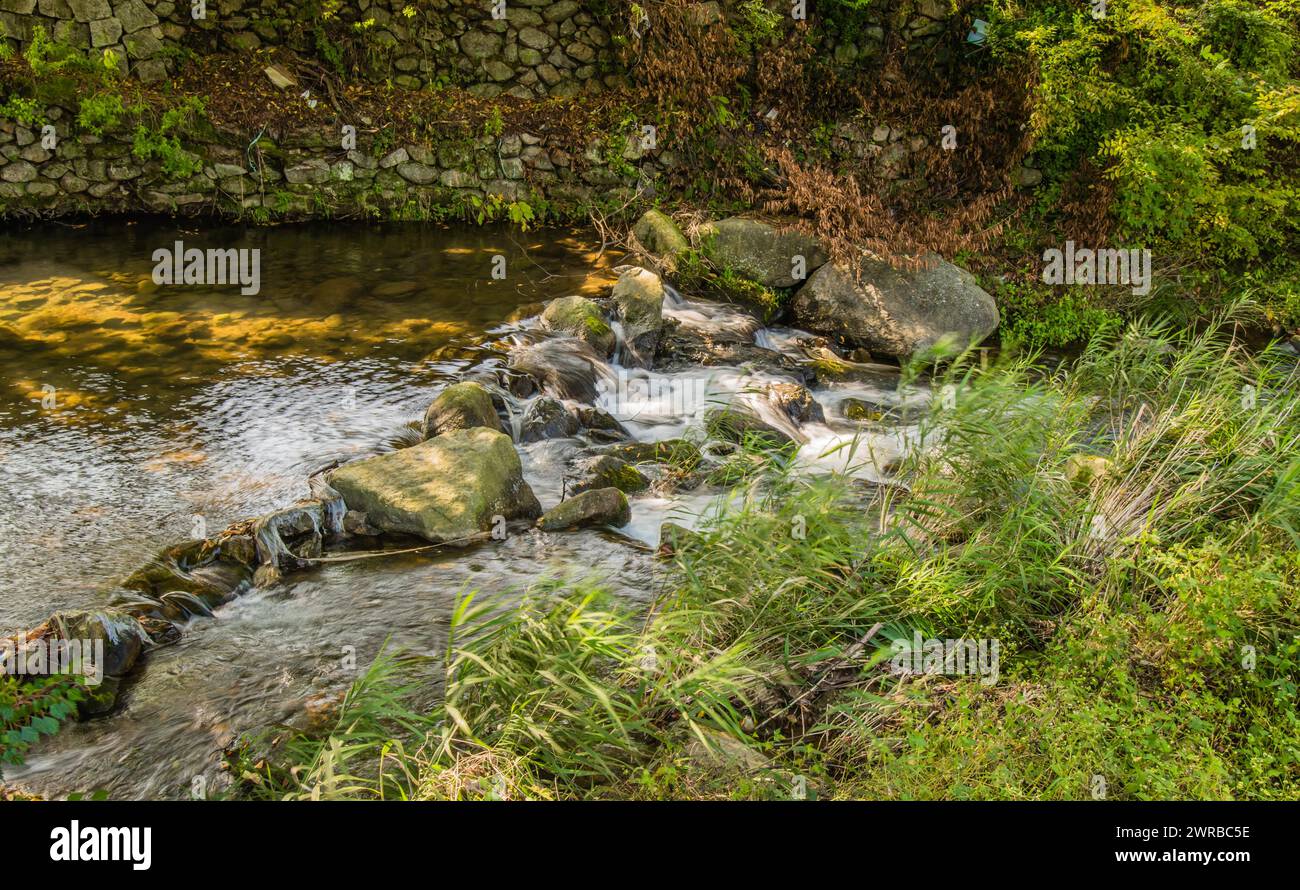Serene stream flows over rocks, flanked by lush greenery and a stone ...