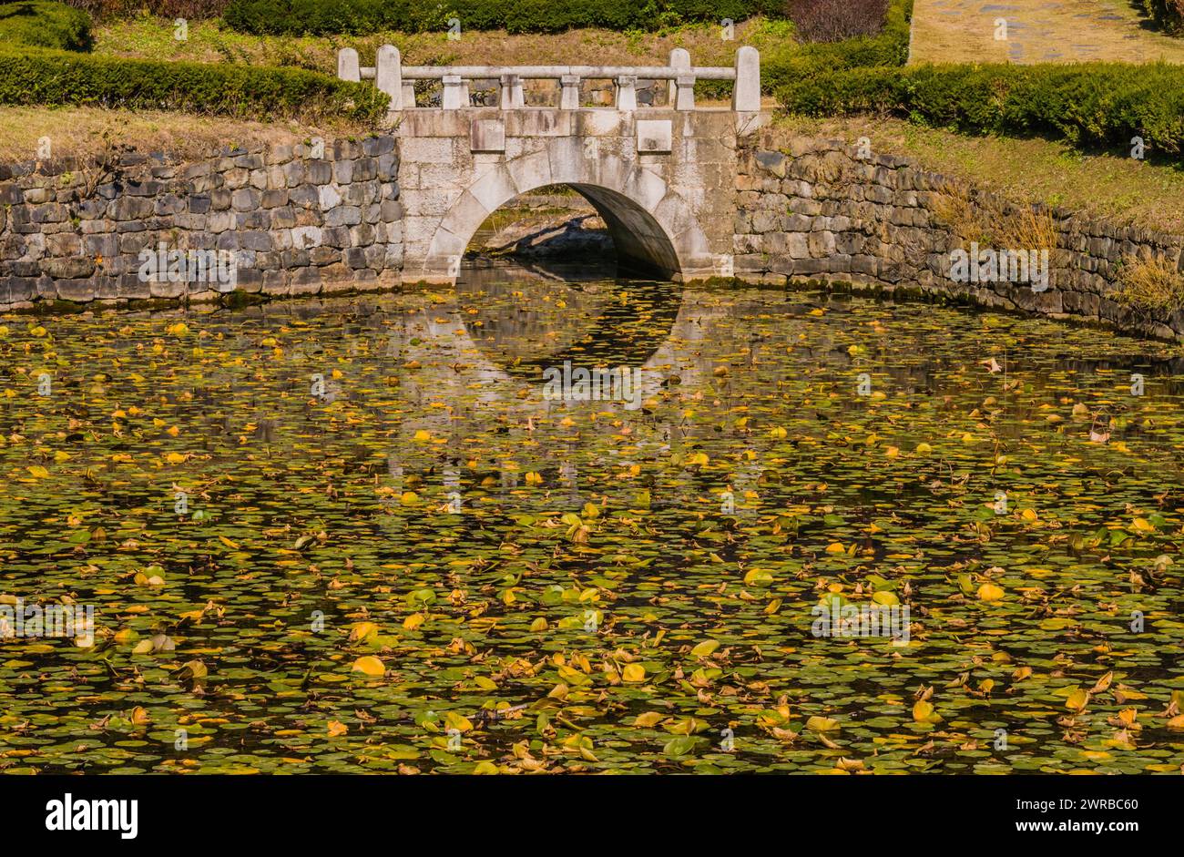Tranquil pond filled with lily pads and a reflection of an arched stone ...