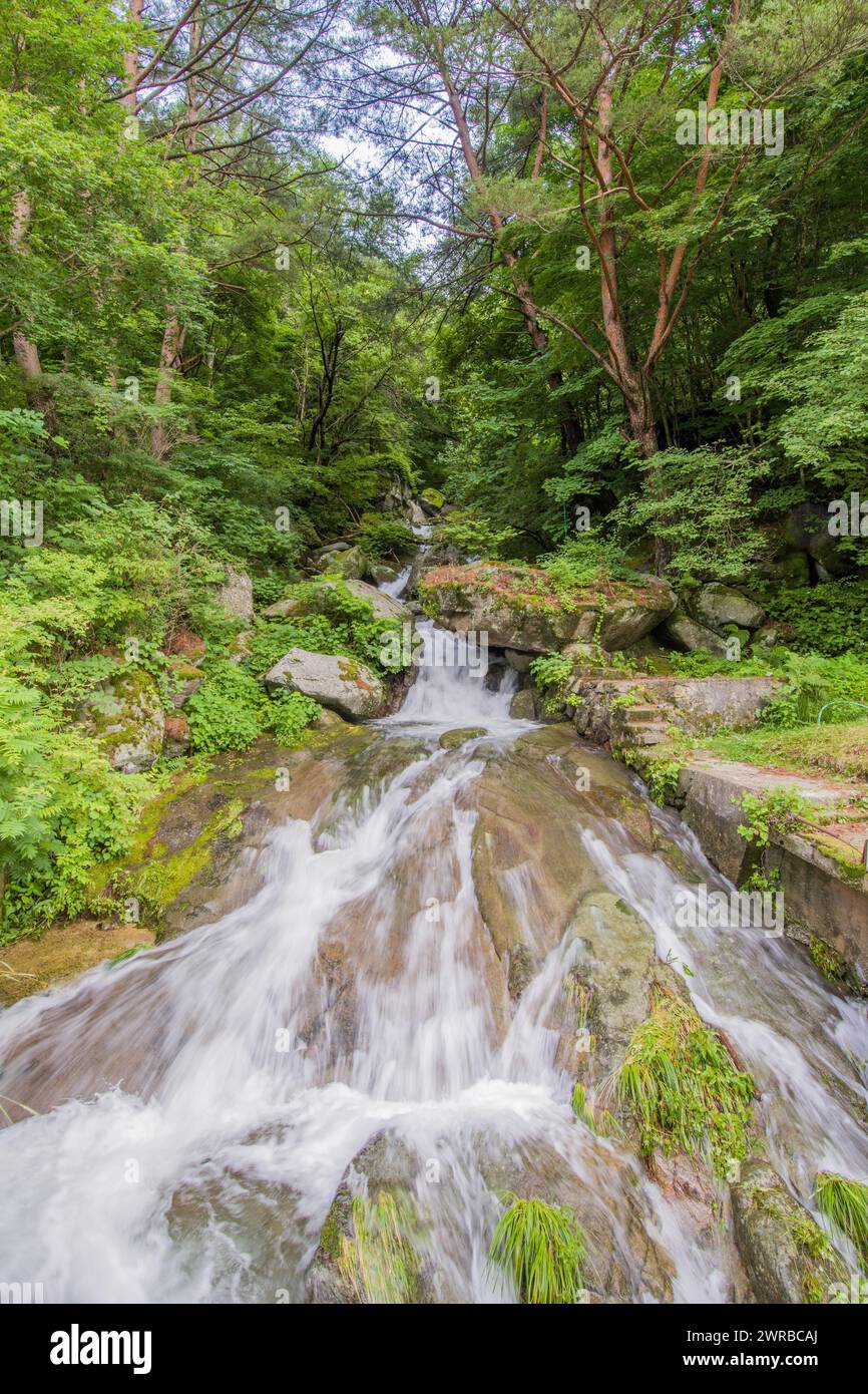 Refreshing forest stream with flowing water through rocks and green ...