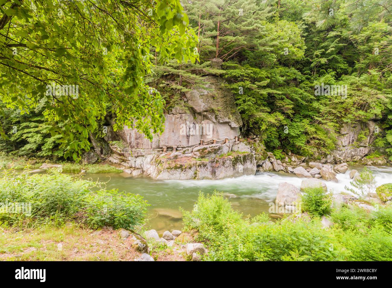 Canopy cascade hi-res stock photography and images - Alamy