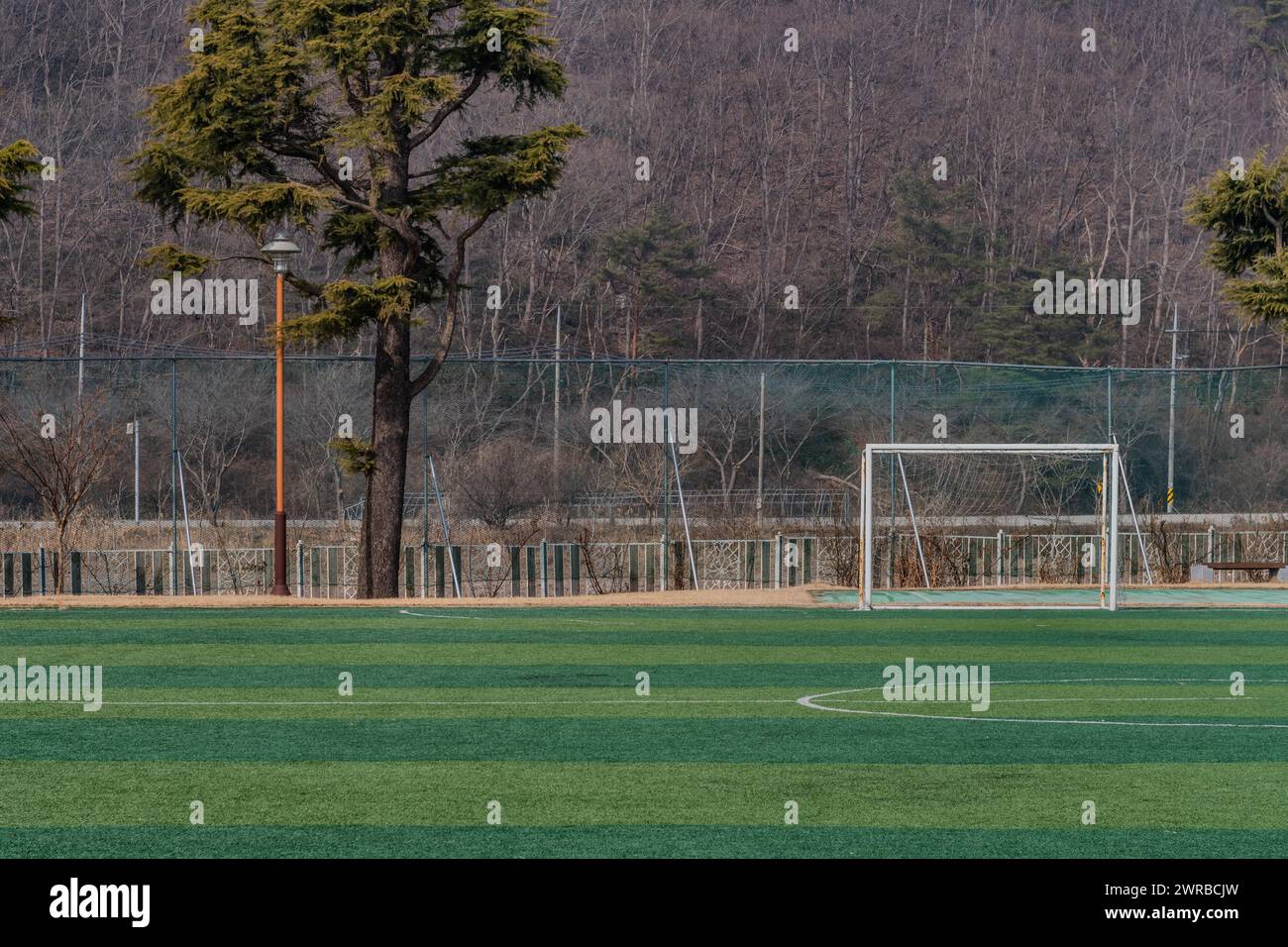 Empty soccer field with a single goal post and trees in the background ...