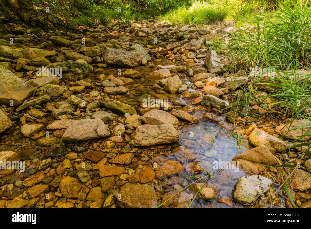 A shallow streambed with clear water running over multicolored rocks ...