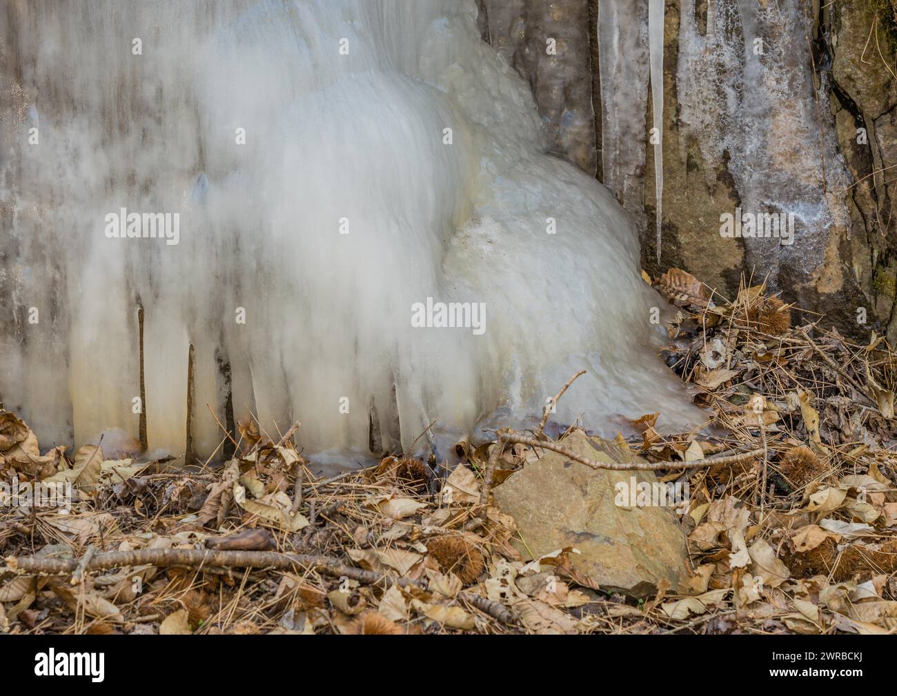 Ice formation from a frozen waterfall amidst rocks and winter foliage ...