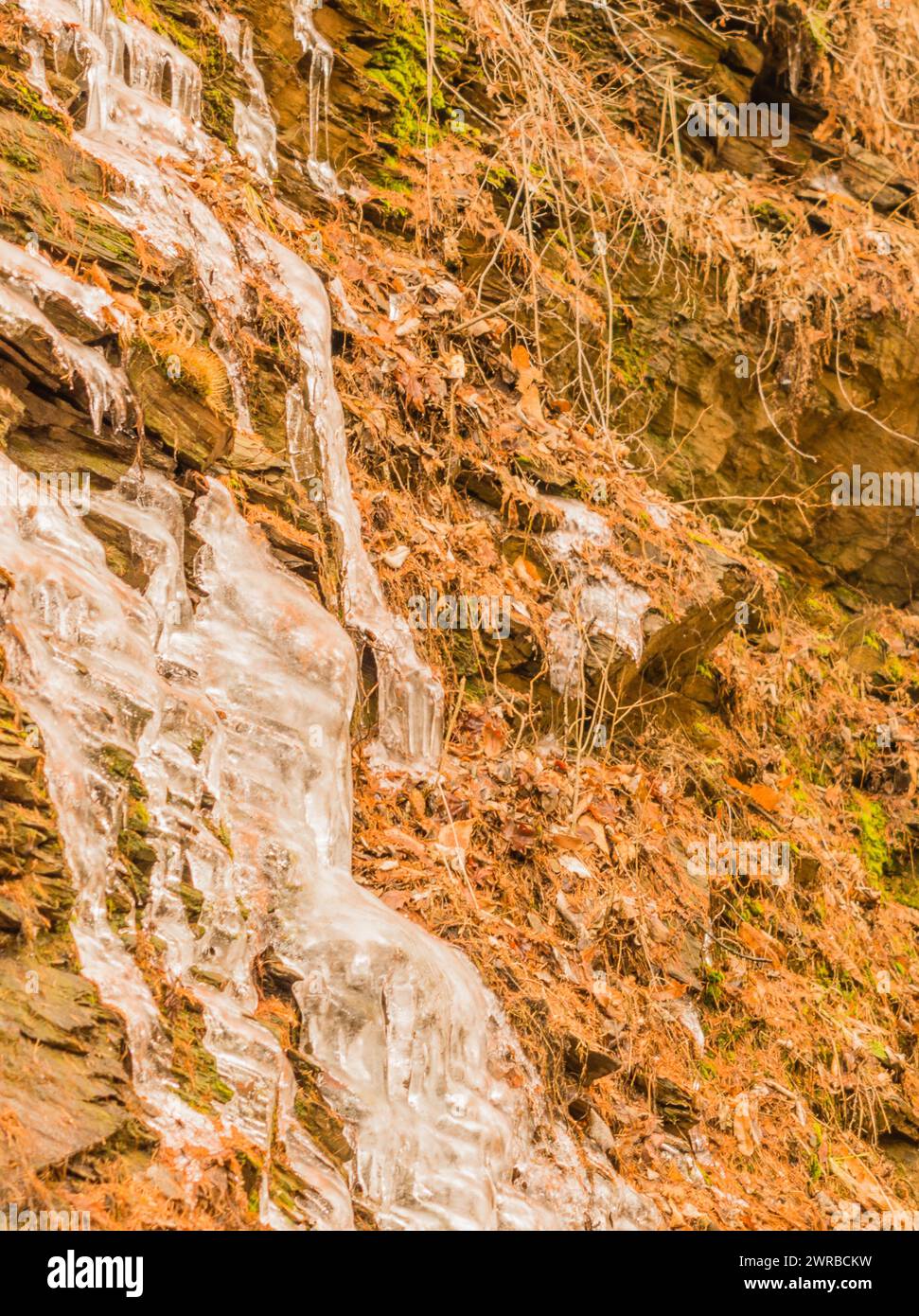 Leaf icicles hi-res stock photography and images - Alamy