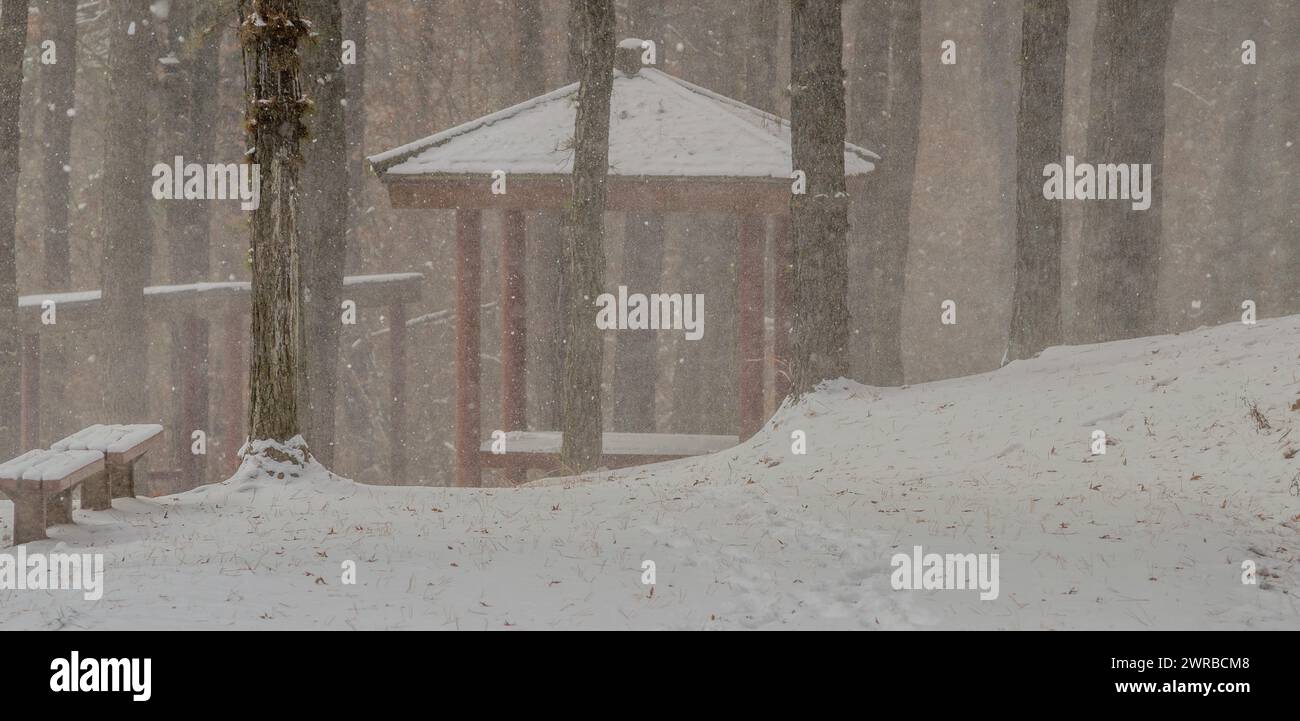 Snow falling heavily around a gazebo with visibility hampered by the ...