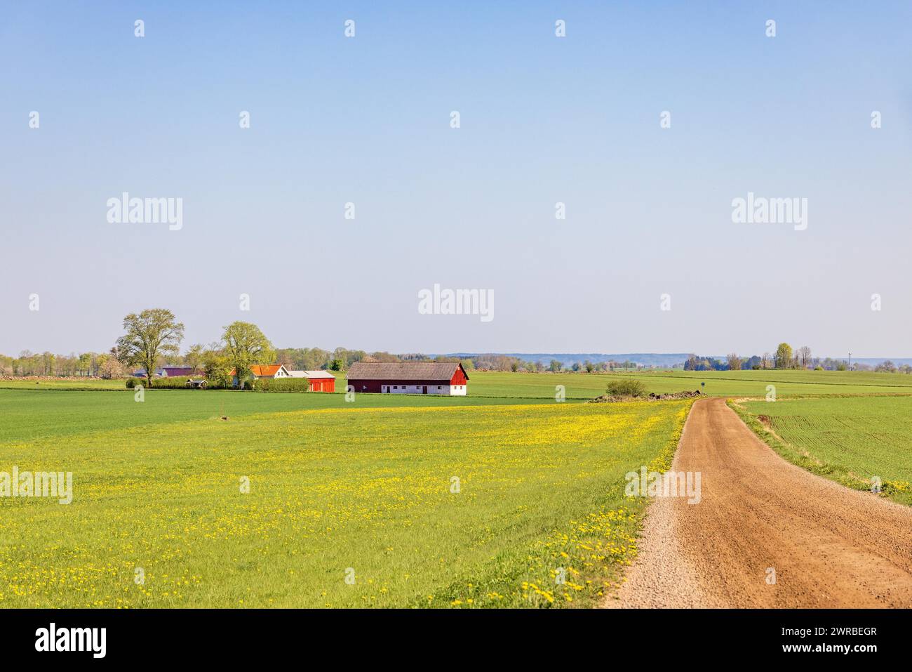 Long straight dirt road in the countryside towards the horizon with a ...