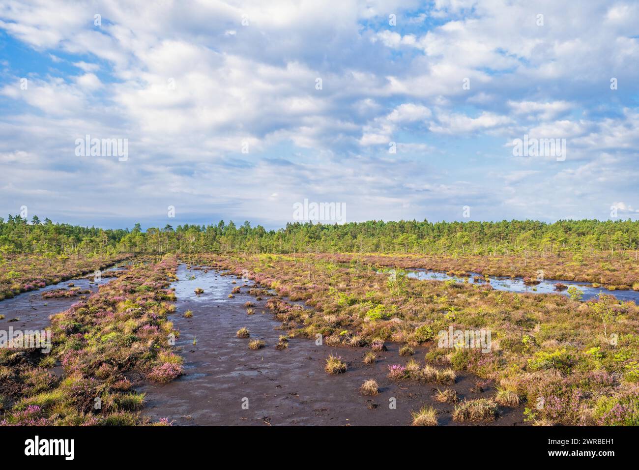 Muddy ditch hi-res stock photography and images - Alamy
