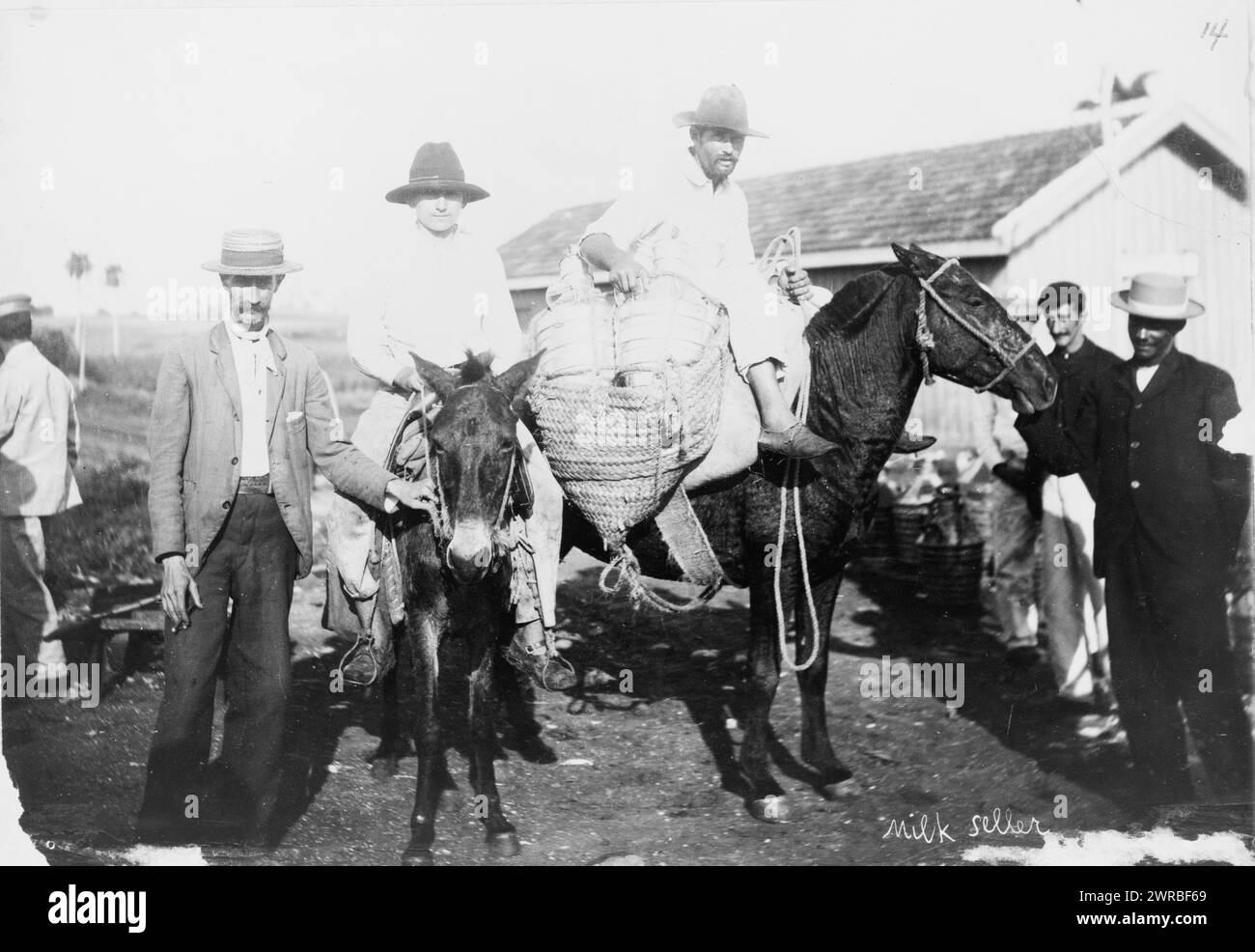 Milk 1890 1920 hi-res stock photography and images - Alamy