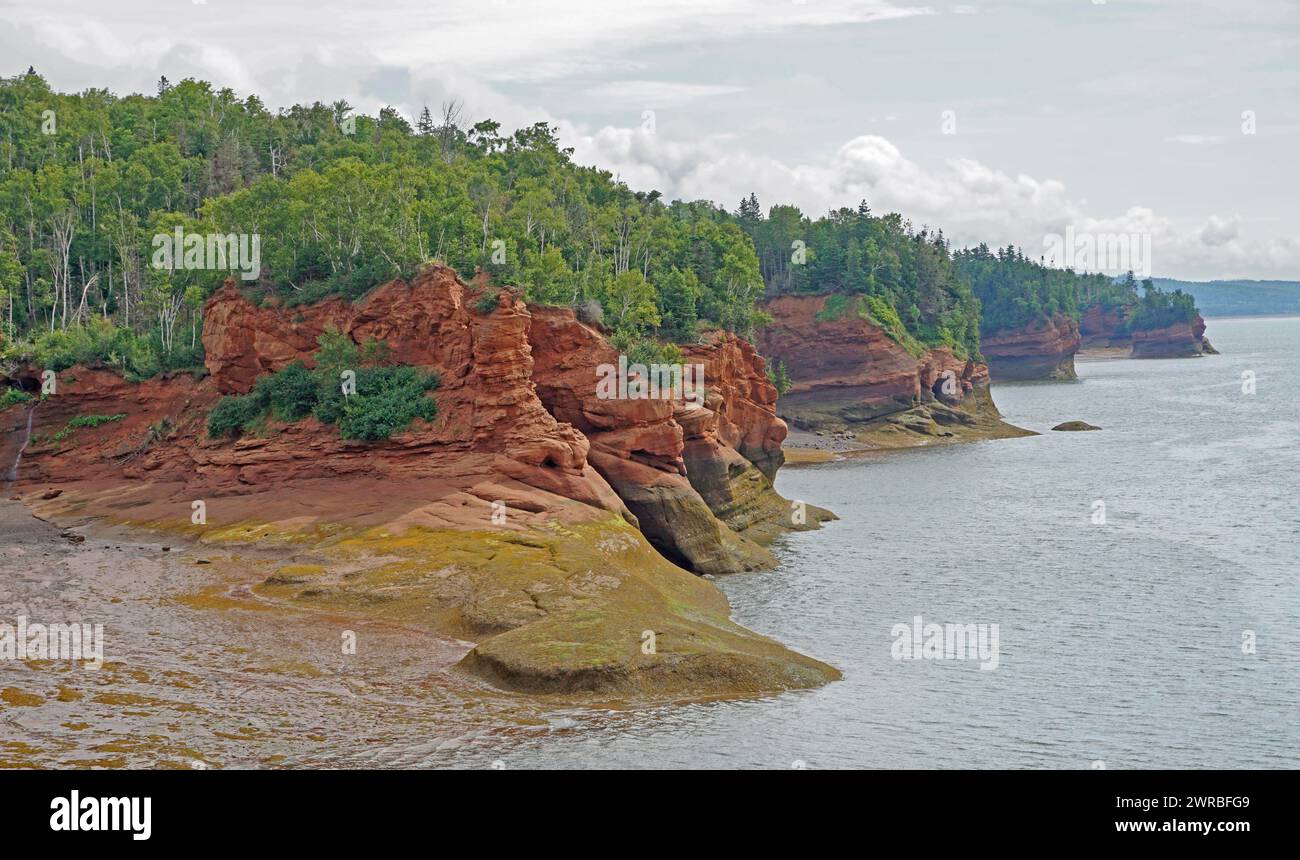Seashore, wooded cliffs, red sandstone, Five Islands Provincial Park ...