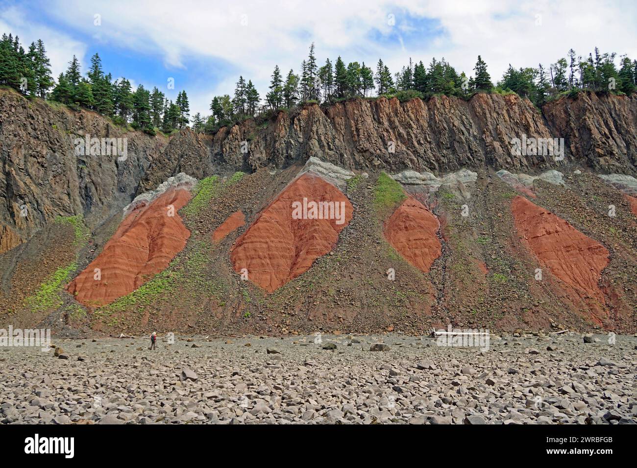 Cliffs, red sandstone, Five Islands Provincial Park, Fundy Bay, Nova ...
