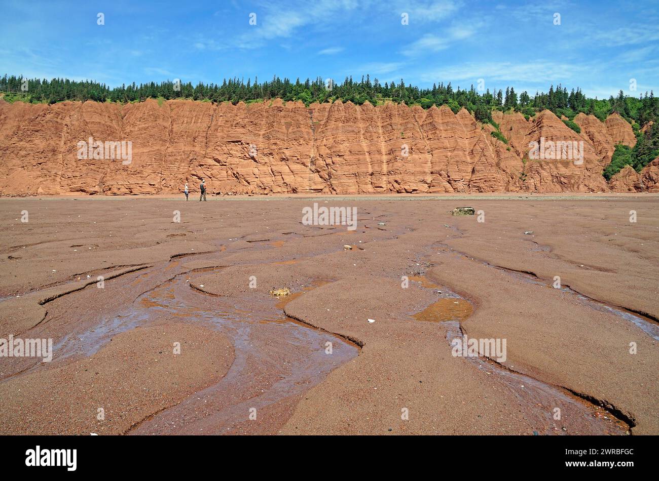 Wooded cliffs, red sandstone, beach at low tide, Five Islands ...