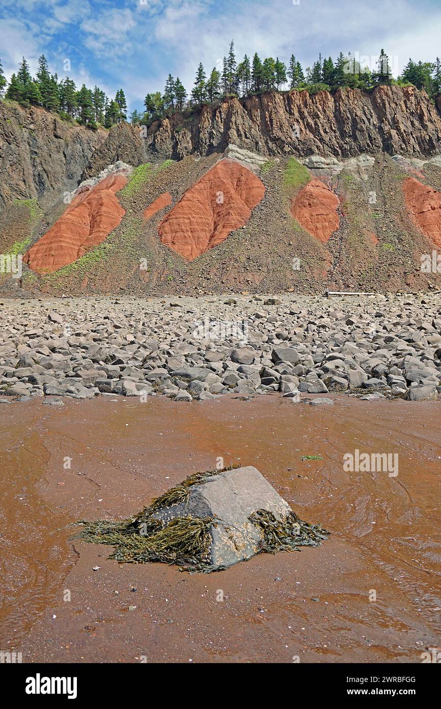 Cliffs, red sandstone, Five Islands Provincial Park, Fundy Bay, Nova ...