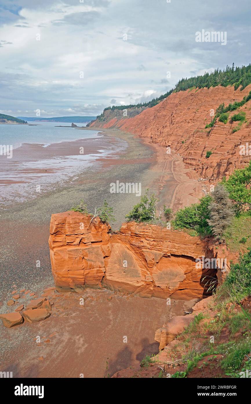 Seashore at low tide, cliffs, red sandstone, Five Islands Provincial Park, Fundy Bay, Nova ...