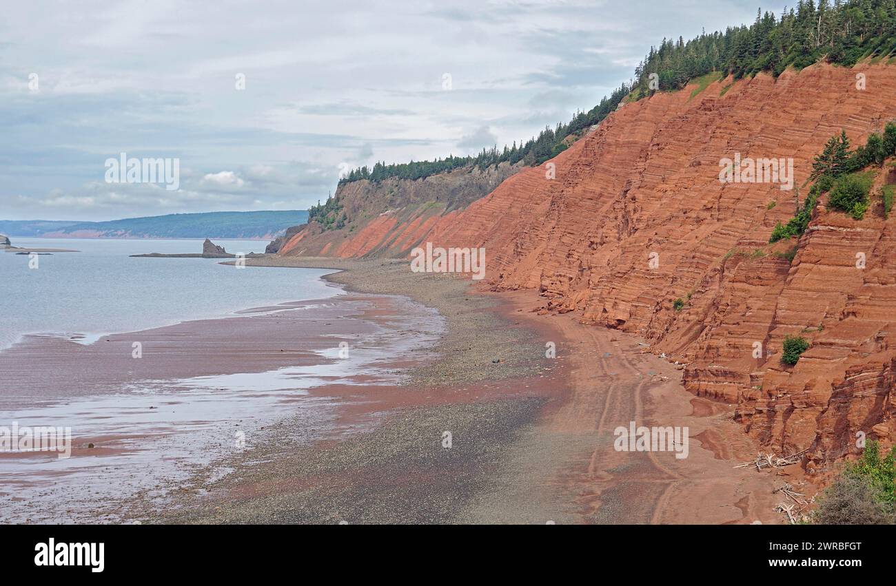 Seashore at low tide, cliffs, red sandstone, Five Islands Provincial Park, Fundy Bay, Nova ...